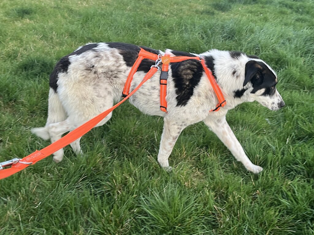 das Portal für bunte Notfälle - Startseite