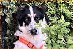 das Portal für bunte Notfälle - Unsere Jungs